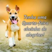 Feliz quarta-feira - Imagens Diárias - 21078